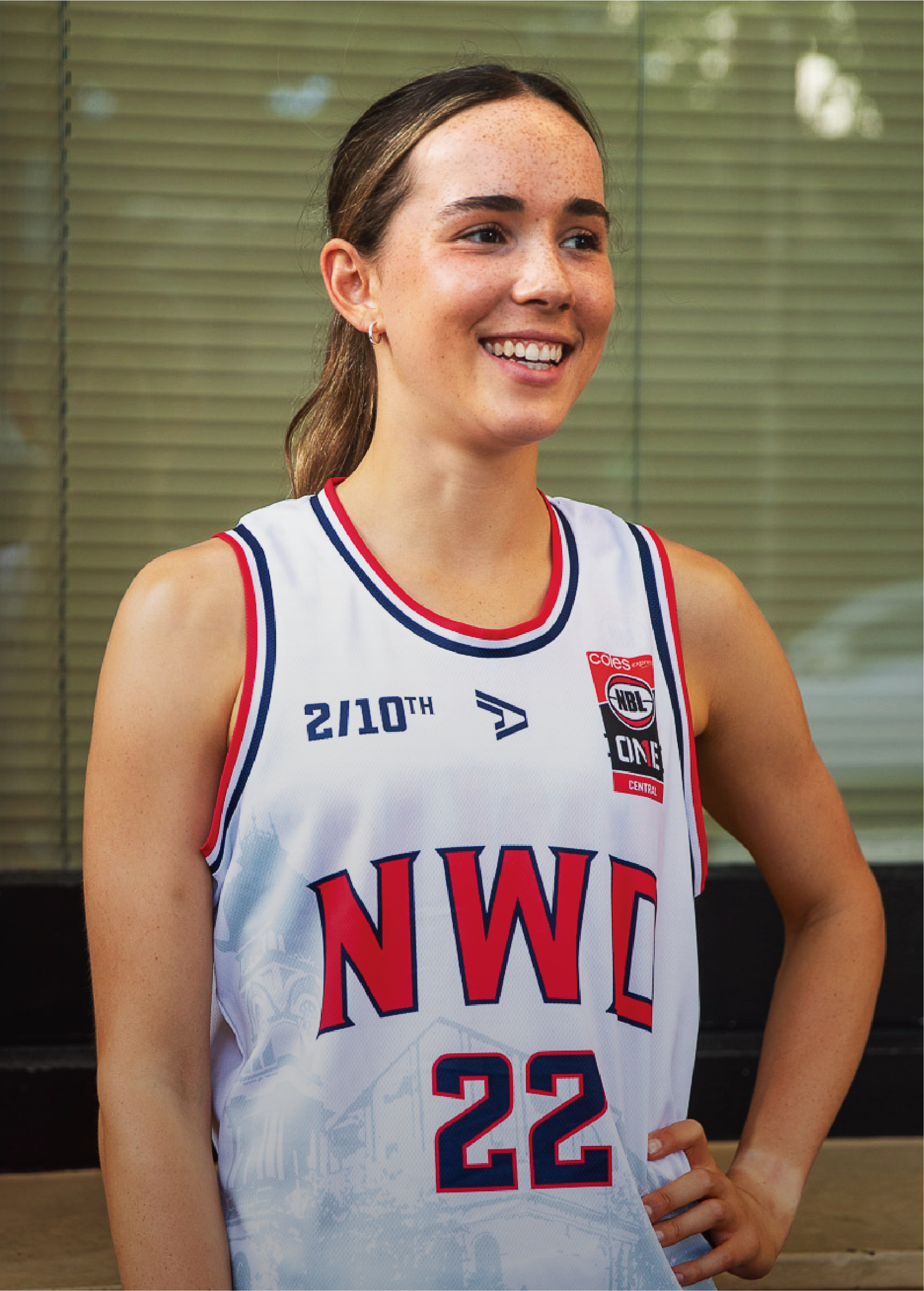 Catalogue – Apelle