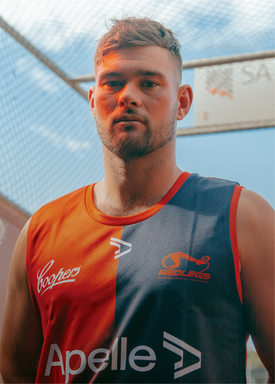 Catalogue – Apelle